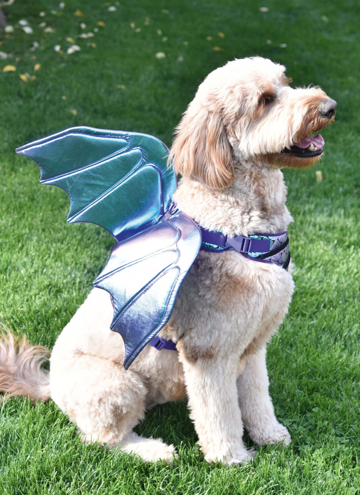 Simplicity Sewing Pattern S9875 Dog Harness with Wings by Carla Reiss ...