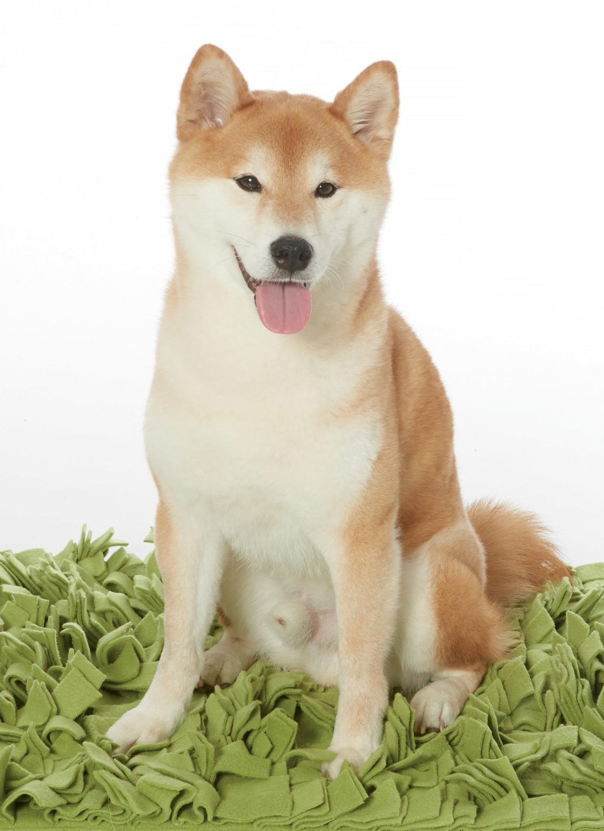 McCall’s Sewing Pattern M7613 Pet Beds with Contrast and Lining ...